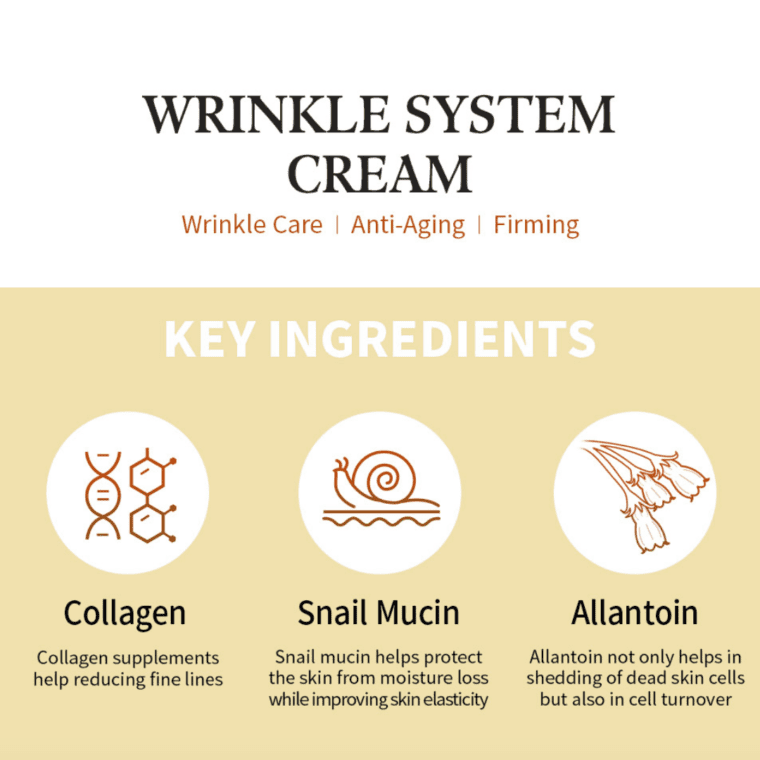 The Skin House Crema «Wrinkle System Cream» – Kosmeticos