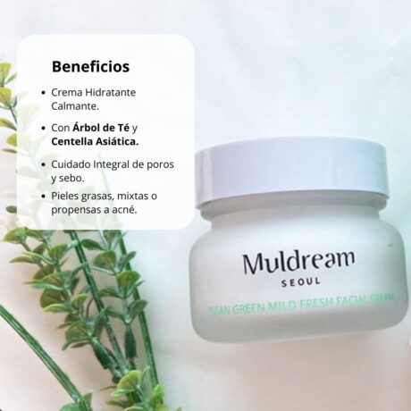 Muldream Crema «Vegan green mild fresh facial cream» – Kosmeticos