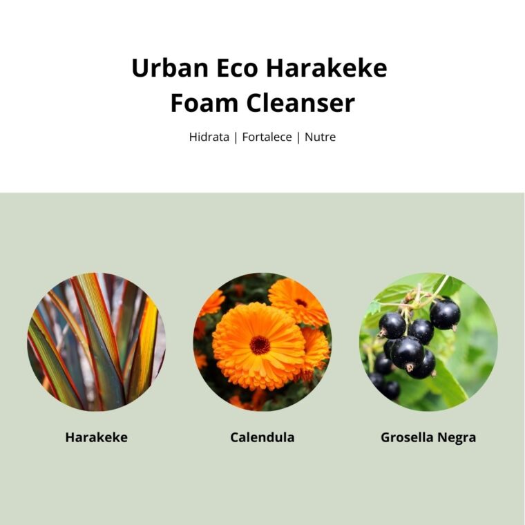 The Saem Limpiador «Urban Eco Harakeke Foam Cleanser» – Kosmeticos