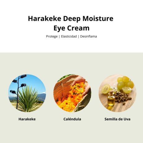 The Saem Crema «Harakeke Deep Moisture Eye Cream» – Kosmeticos