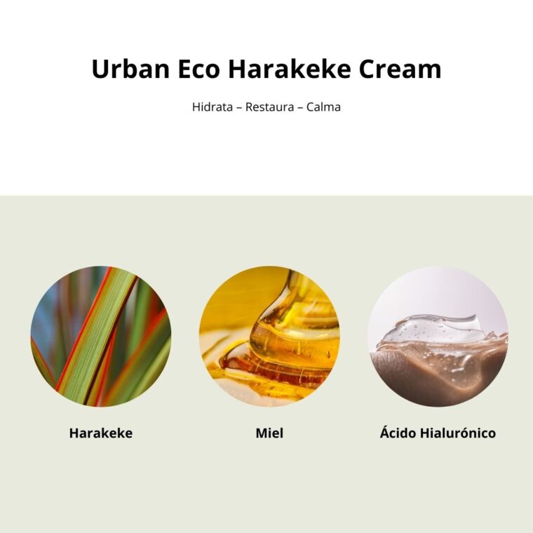 The Saem Crema «Urban Eco Harakeke Cream» – Kosmeticos