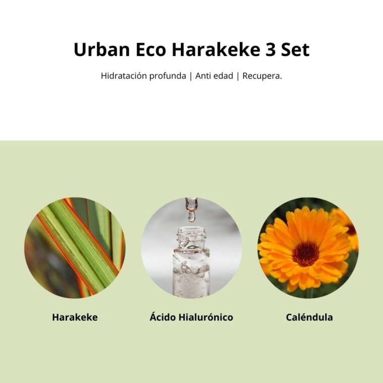 The Saem Set «Urban Eco Harakeke 3 Set» – Kosmeticos