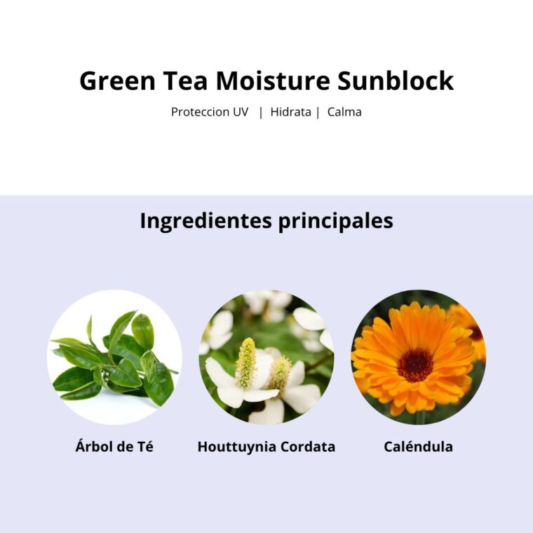 Asis-Tobe Protector Solar «Green Tea Moisture Sunblock» – Kosmeticos