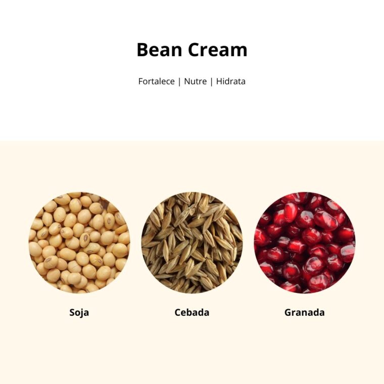 Mixsoon Crema “Bean Cream” 50ml – Kosmeticos